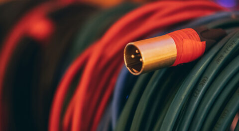 Cintia Rullo | Expertos en selección de Software